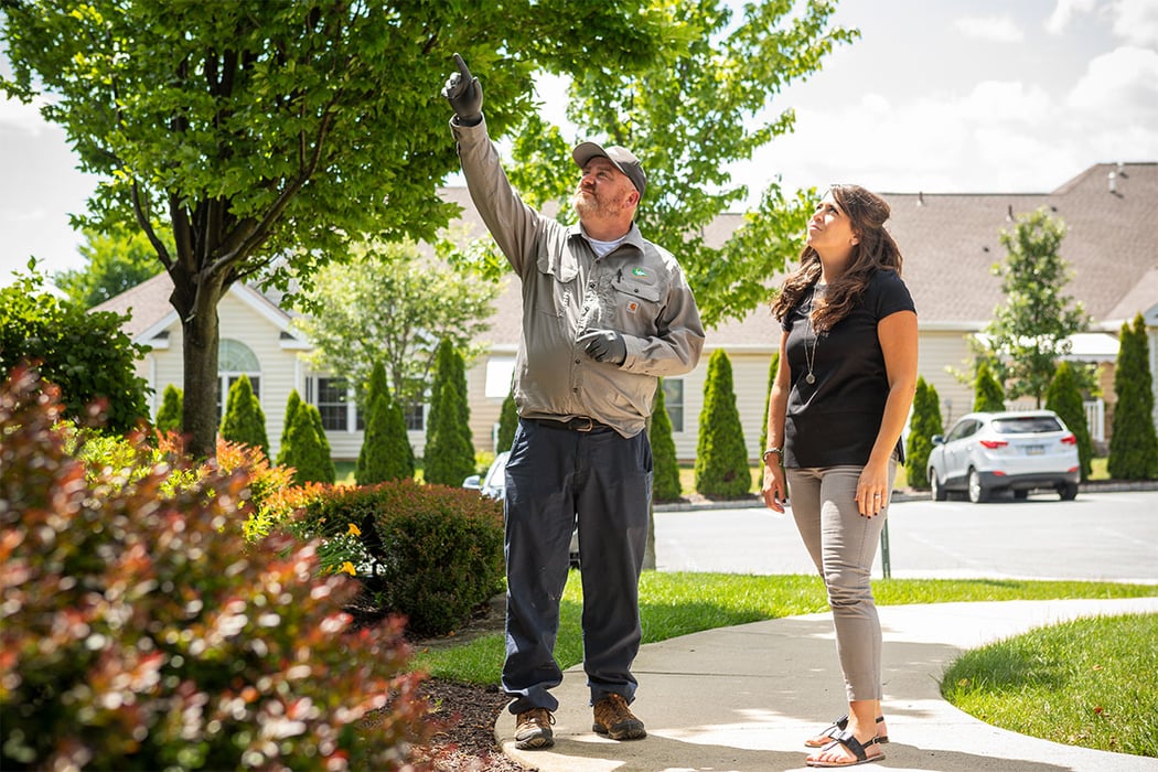 Joshua Tree Experts Franchise - Lawn, Pest & Tree Service Franchise ...